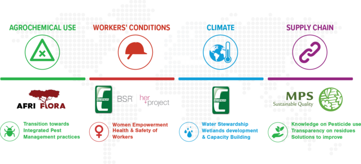 Improving practices: Kick-start of 4 FSI projects – FSI 2025