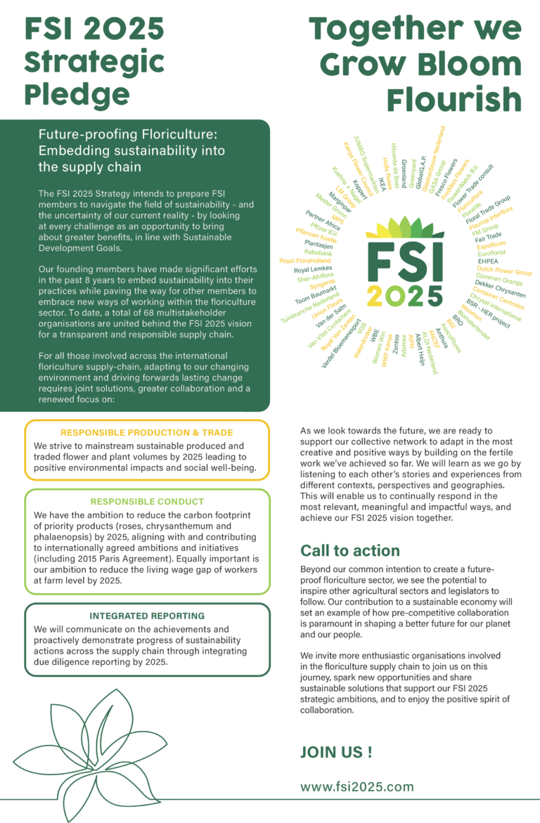 FSI 2025: STRATEGIC PLEDGE – FSI 2025